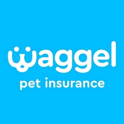 Exclusive Waggel Discount Codes | 2 Months Free in January 2024